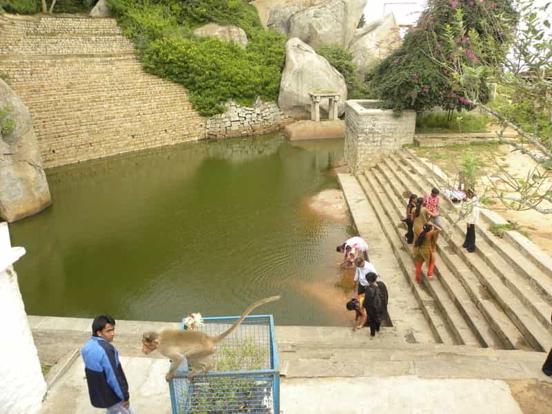 Weekend Getaways from Bangalore | 38 Weekend Trips from Bangalore - Treebo