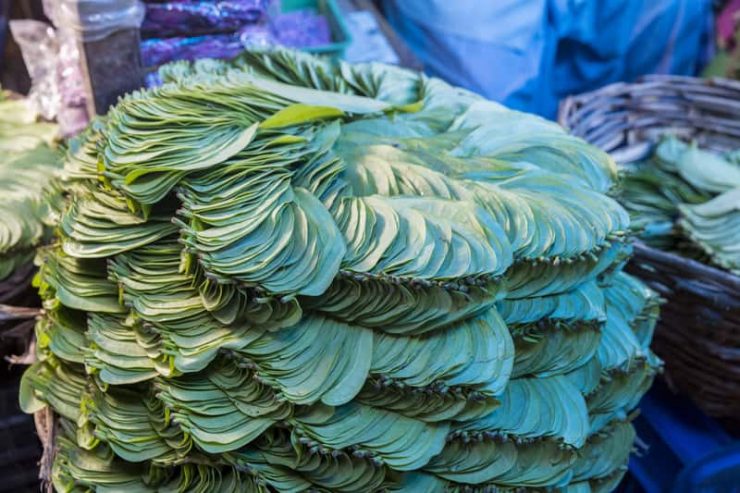Top 12 street foods in Shillong - Treebo Blog