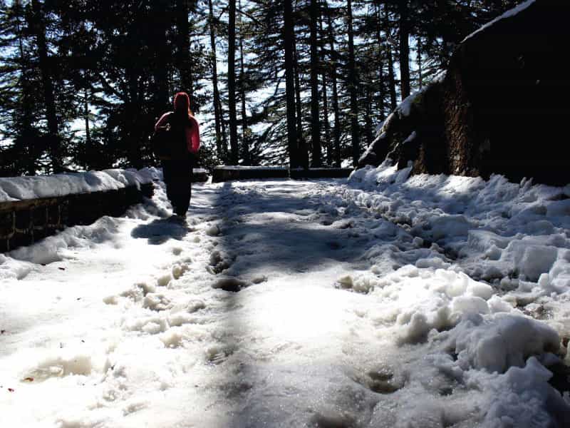 Places to Visit in Mussoorie at Night (2022) - Night Hangout Places in ...