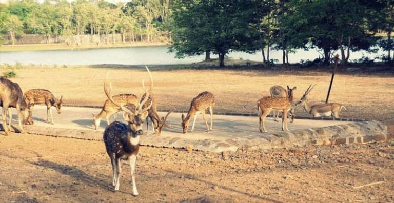 30 Places to Visit in Jodhpur, Rajasthan | Best Places to Visit in ...