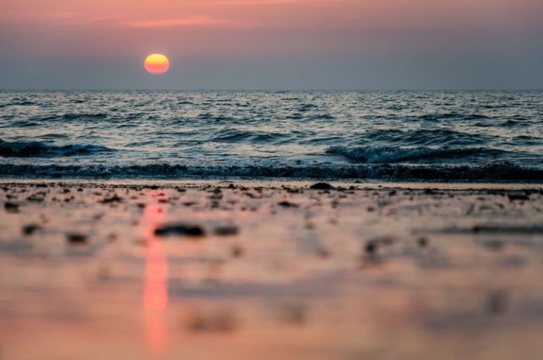 15 Best Beaches in Mumbai | Famous Beaches in Mumbai to Visit | Treebo ...