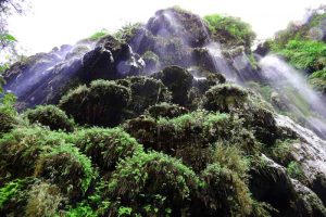 12 Waterfalls near Delhi, Best Natural Waterfalls near Delhi - Treebo