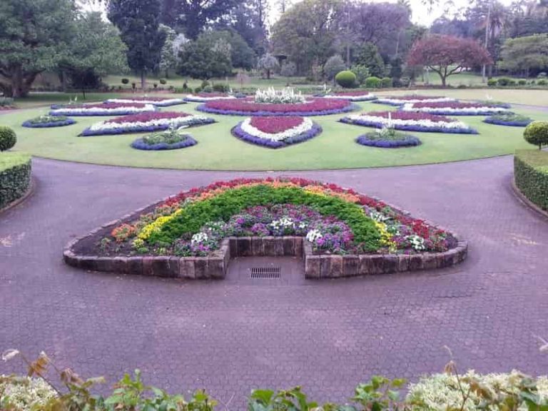 11 Famous Parks in Hyderabad | Parks in Hyderabad for Family | Treebo Blogs