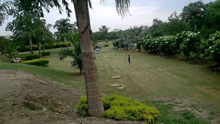 11 Famous Parks in Hyderabad | Parks in Hyderabad for Family | Treebo Blogs