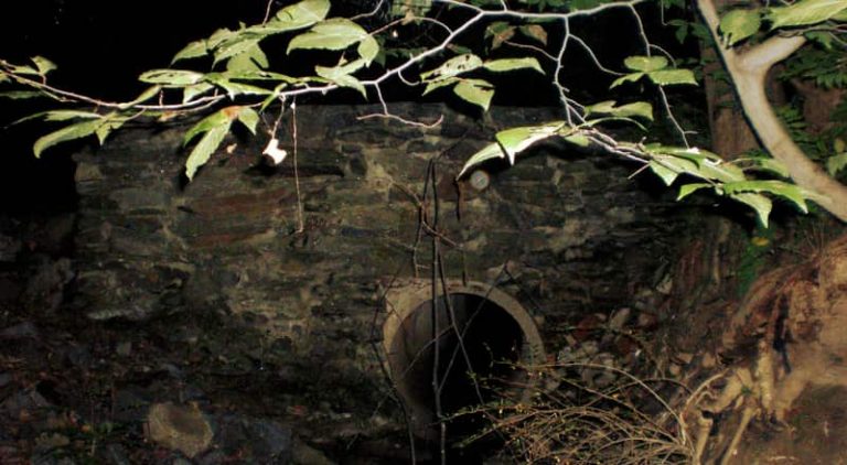 10 Haunted Places in Goa | Horror Places in Goa | Treebo Blogs