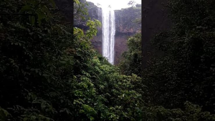 Waterfalls in Goa | 11 Waterfalls in and Around Goa | Treebo Blogs