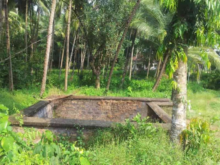 8 Natural Springs in Goa, Springs in Goa to Visit When Around