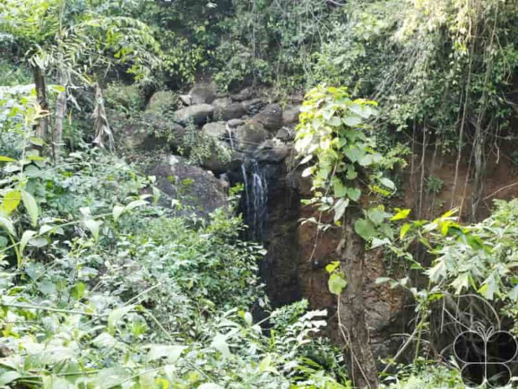 8 Natural Springs in Goa, Springs in Goa to Visit When Around