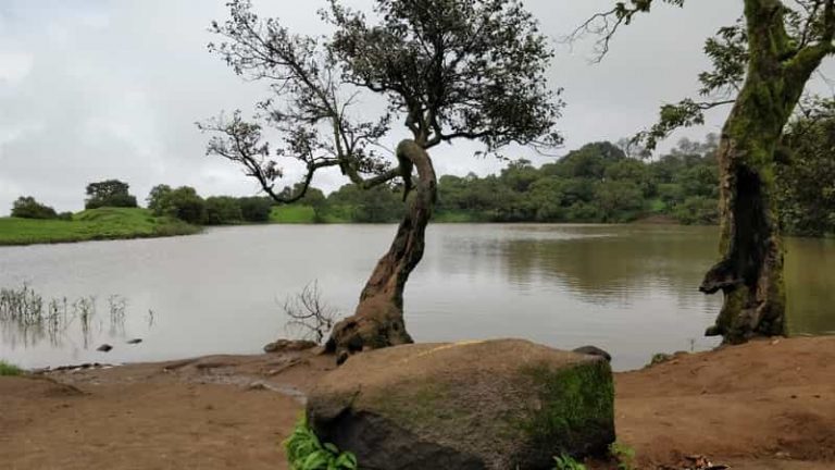 Nashik Tourist Places Unveiled: Explore Everything From Vineyard Vistas ...