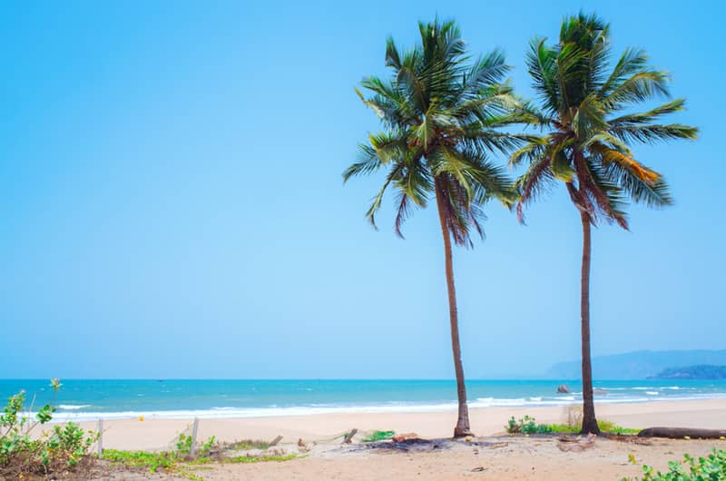 23 Best Beaches for the Perfect Honeymoon in Goa | Treebo Blogs