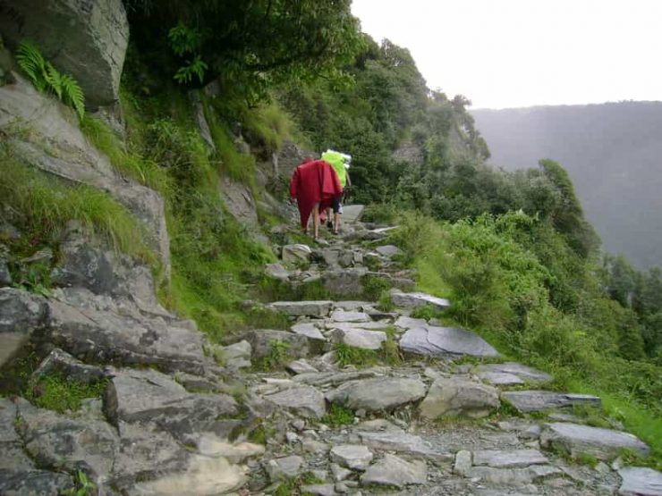 Triund Trek, Triund Trek Itinerary