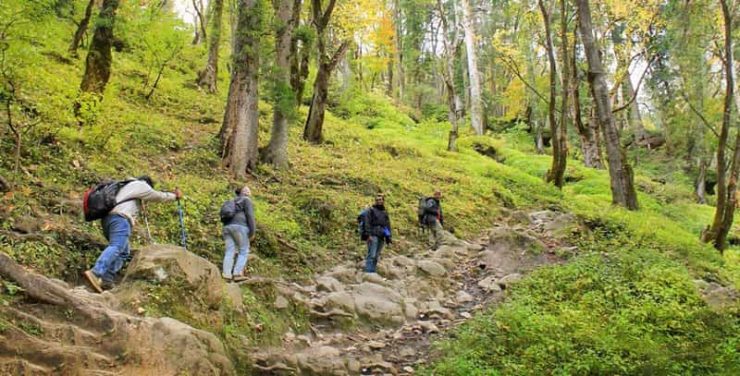 Complete Kheerganga Trek Guide | Useful Guide for Adventurer Lovers ...