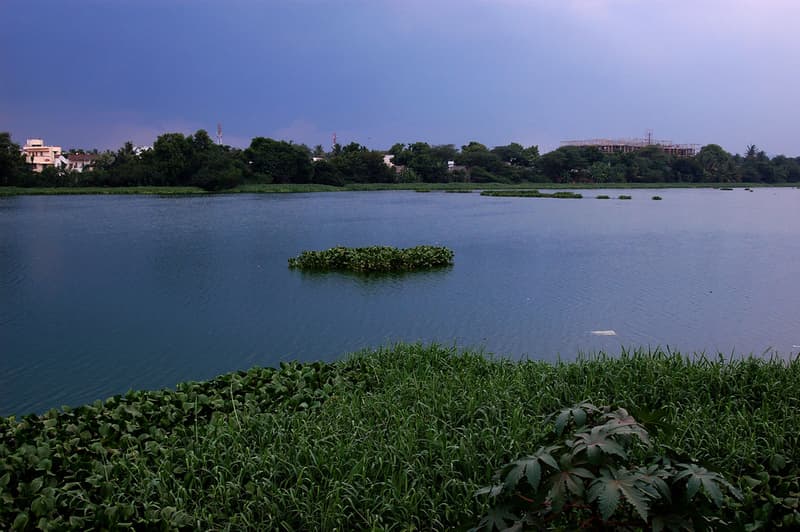 11 Beautiful and Serene Lakes In Chennai (2022)| List Of Lakes In ...