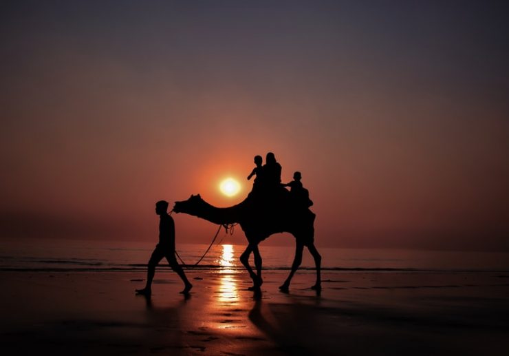 12 Things Surat is Famous For, What Surat Is Famous For