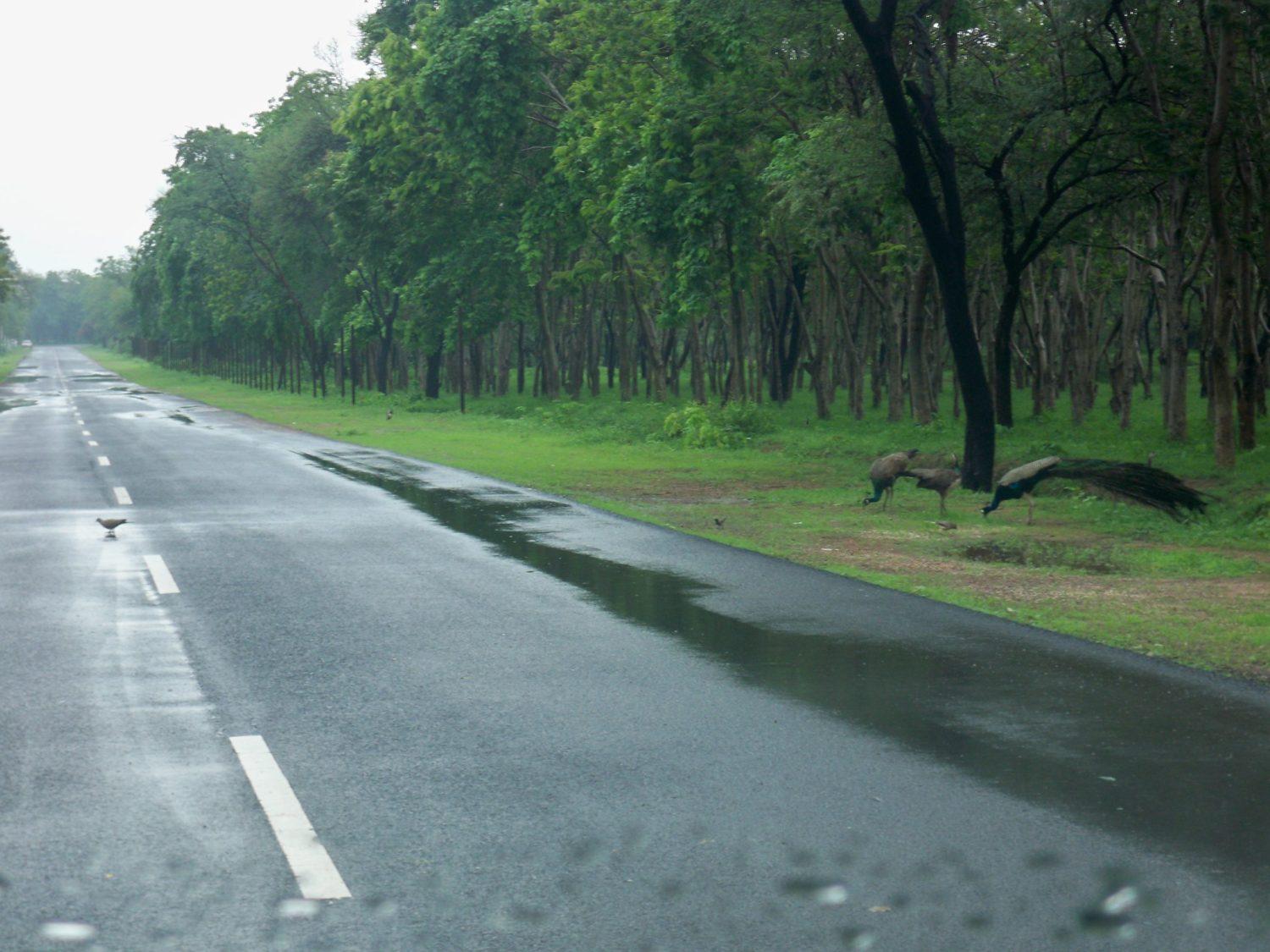 Top 20 Cleanest Cities in India [2020 List] | Swach Survekshan 2020 ...