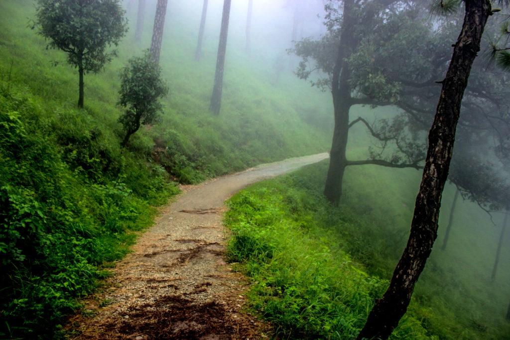 The Complete List of 8 Best Places to Visit in Kasauli [2021 Updated ...