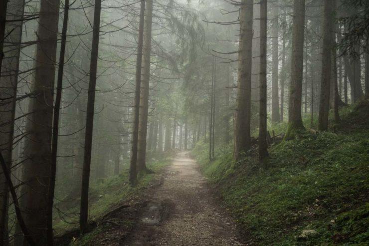 Top 5 sites for Dark Tourism In India | Dark Tourist sites in India ...