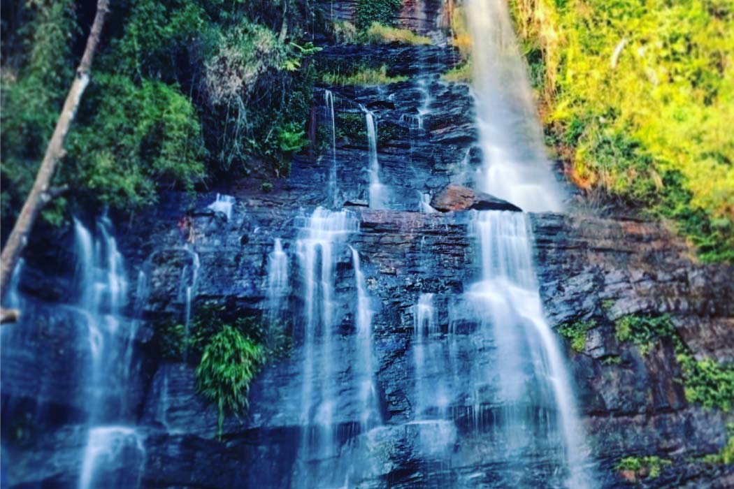 List of 5 exciting things to do in chikmagalur in under ₹15000