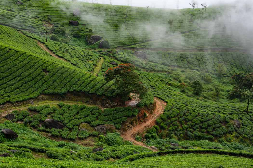 Complete locations and plans! If you can't decide where to go for ...