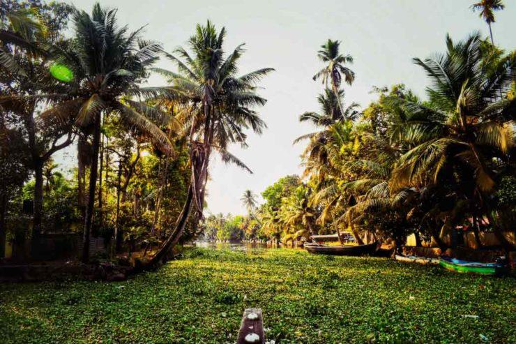 Top 9 Most Calm and Peaceful Places in India | Treebo Blogs