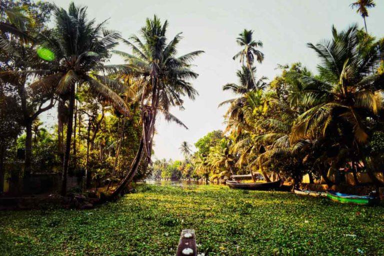 Top 9 Most Calm and Peaceful Places in India | Treebo Blogs
