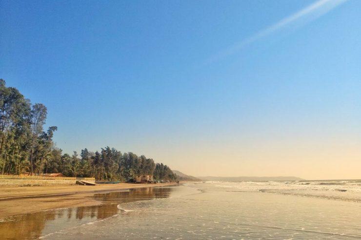 New Year Edition - Discover the unique places to visit in India to ...