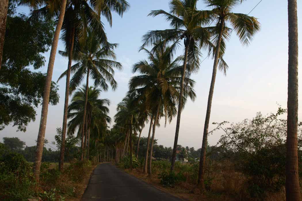 For an Unforgettable Vacation, Visit These 4 FREE Instagrammable Places ...