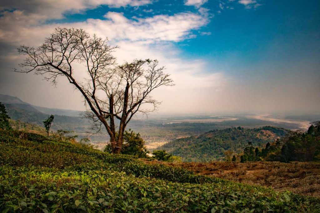7 Best Weekend Getaways from Siliguri that are must visit (2022) | Treebo