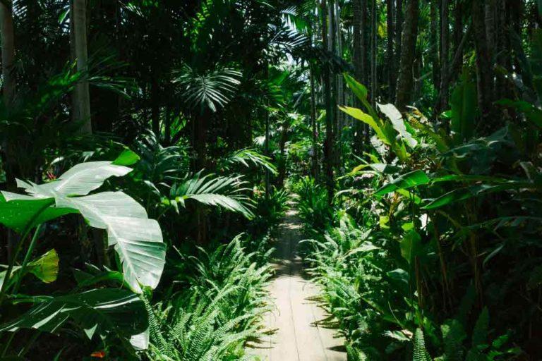 7 Best Places to Visit in Noida for a fun-filled day! | Treebo Blogs