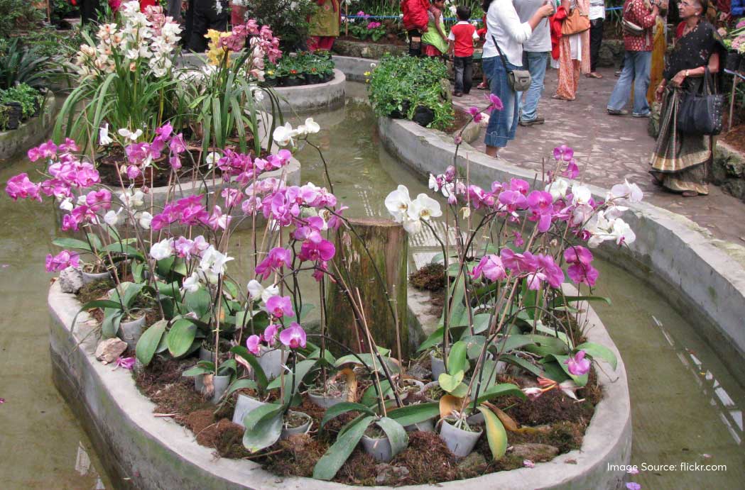 Best Time To Visit Gangtok, Sikkim: When You Should Go And Why - Treebo ...