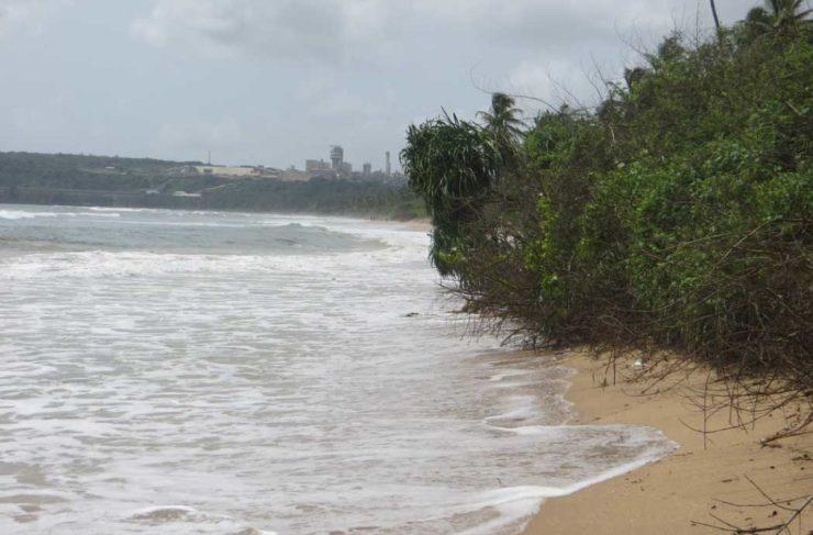 10 South Goa Beaches For Waves, Wandering And Wild Experiences