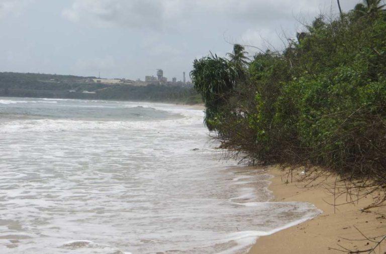 10 South Goa Beaches For Waves, Wandering And Wild Experiences