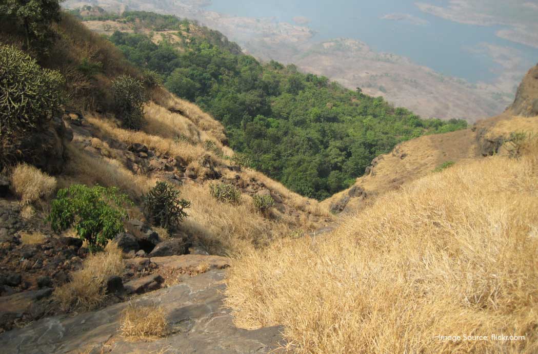 Best Places To Visit In Matheran For A Memorable Trip - Treebo Blog