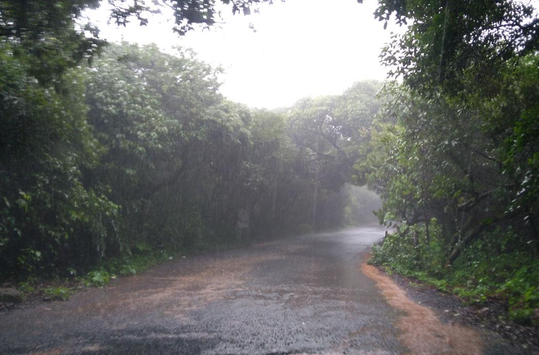 Reasons Why Winter is The Best Time To Visit Mahabaleshwar - Treebo Blog