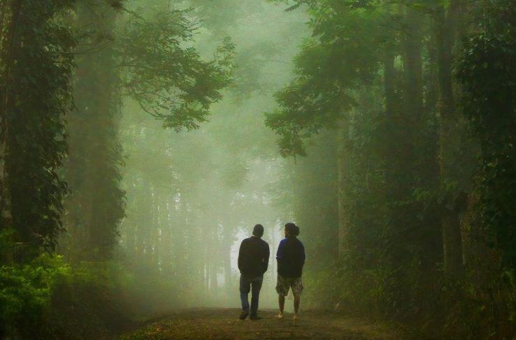 Coorg Best Time to Visit: The Season to Make Memories in the Lap of Nature