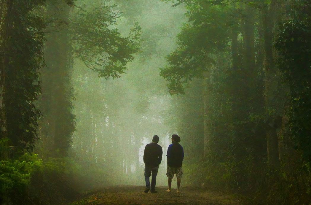 Coorg Best Time to Visit: The Season to Make Memories in the Lap of Nature