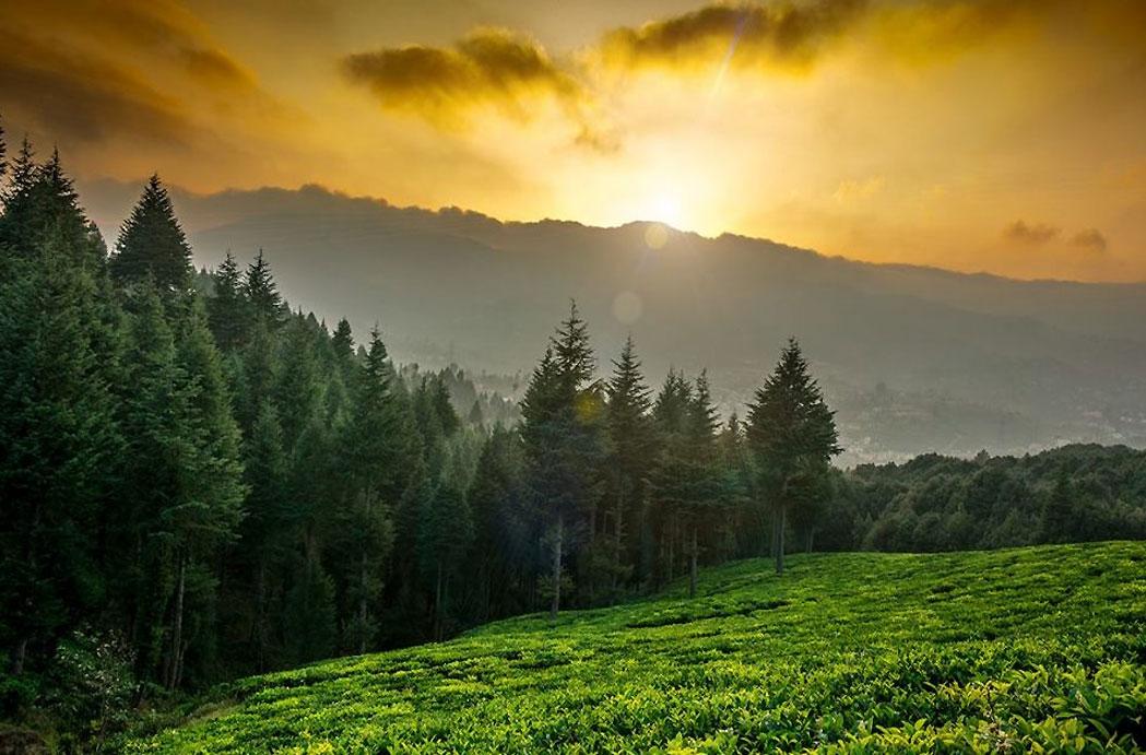 Check Out The Top Hill Stations Near Lucknow For An Amazing Time