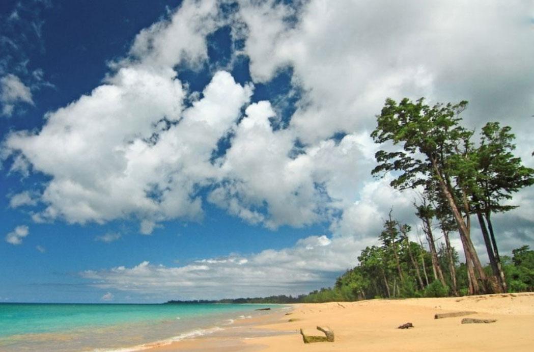 Discover Best Islands In India For An Unforgettable Vacation