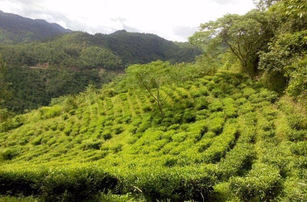 Unveiling The Beauty Of Places To Visit In Manipur - Treebo Blog