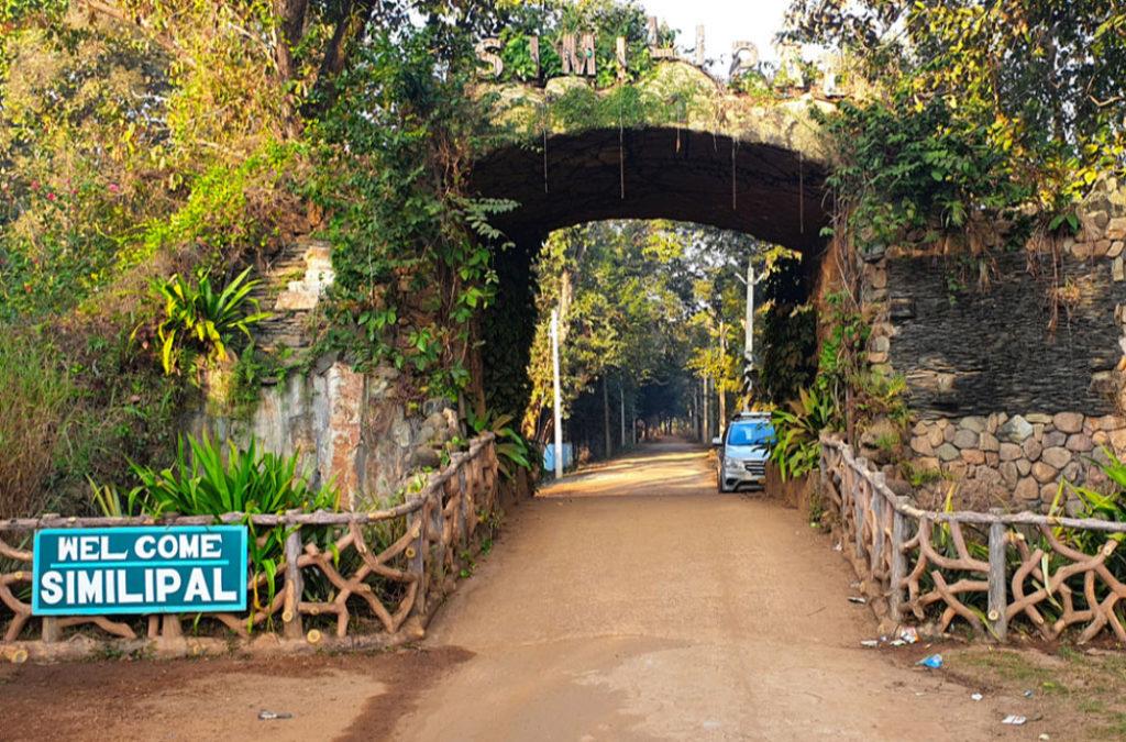 Tourist Places In Odisha: Walk The Path Of Its History And Nature