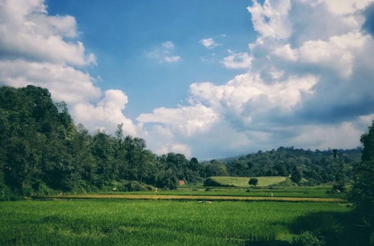 Coorg Best Time to Visit: The Season to Make Memories in the Lap of Nature