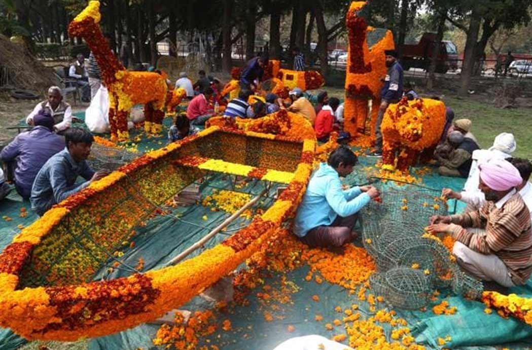 Visit The Most Celebrated Flower Festival: The Rose Festival Chandigarh