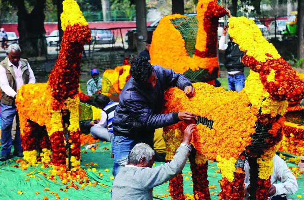 Visit The Most Celebrated Flower Festival: The Rose Festival Chandigarh