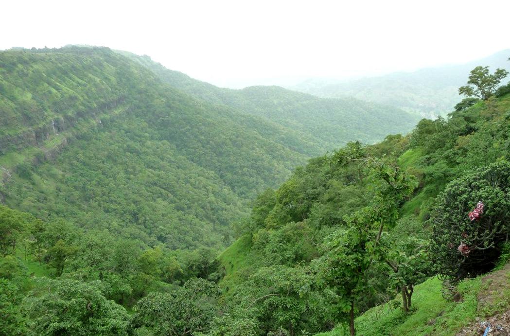 Include These 5 Hill Stations Near Indore In Your Travel Itinerary