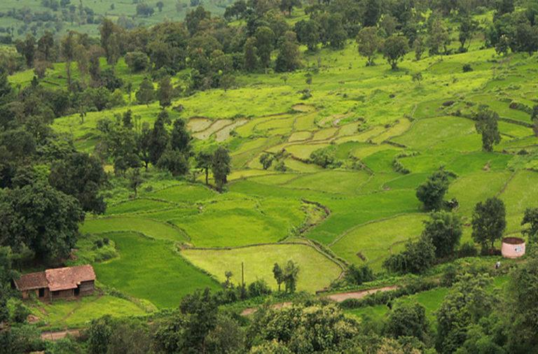 Plan A Trip To Hill Stations Near Nagpur For An Ecstatic Holiday!