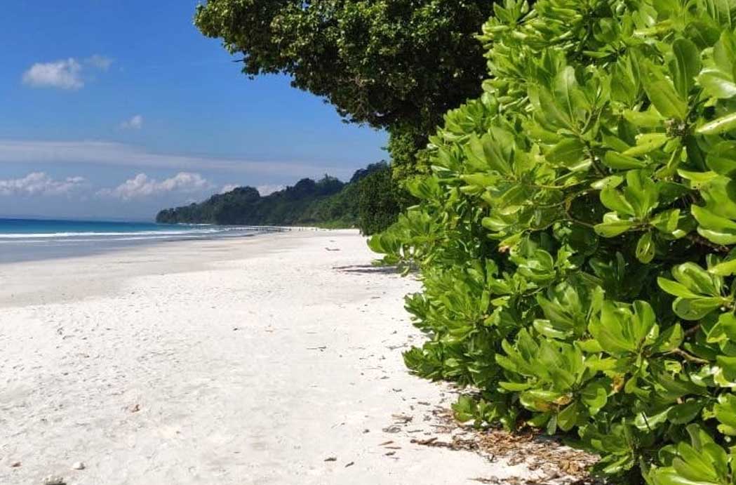 Beaches In India: A List And Why You Need To Visit Them At Least Once