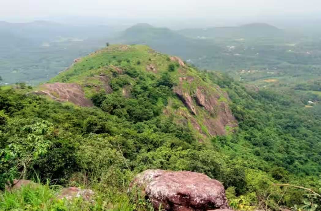 Ecotourism In India: A Journey Through Unique Landscapes - Treebo Blog