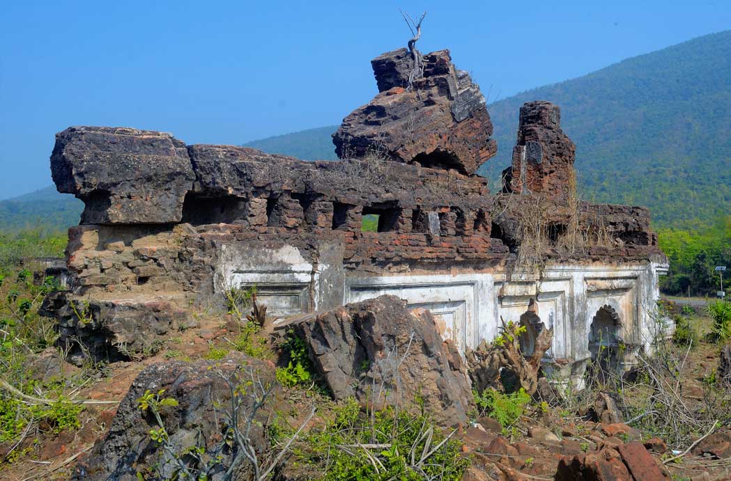 Ecotourism In India: A Journey Through Unique Landscapes - Treebo Blog