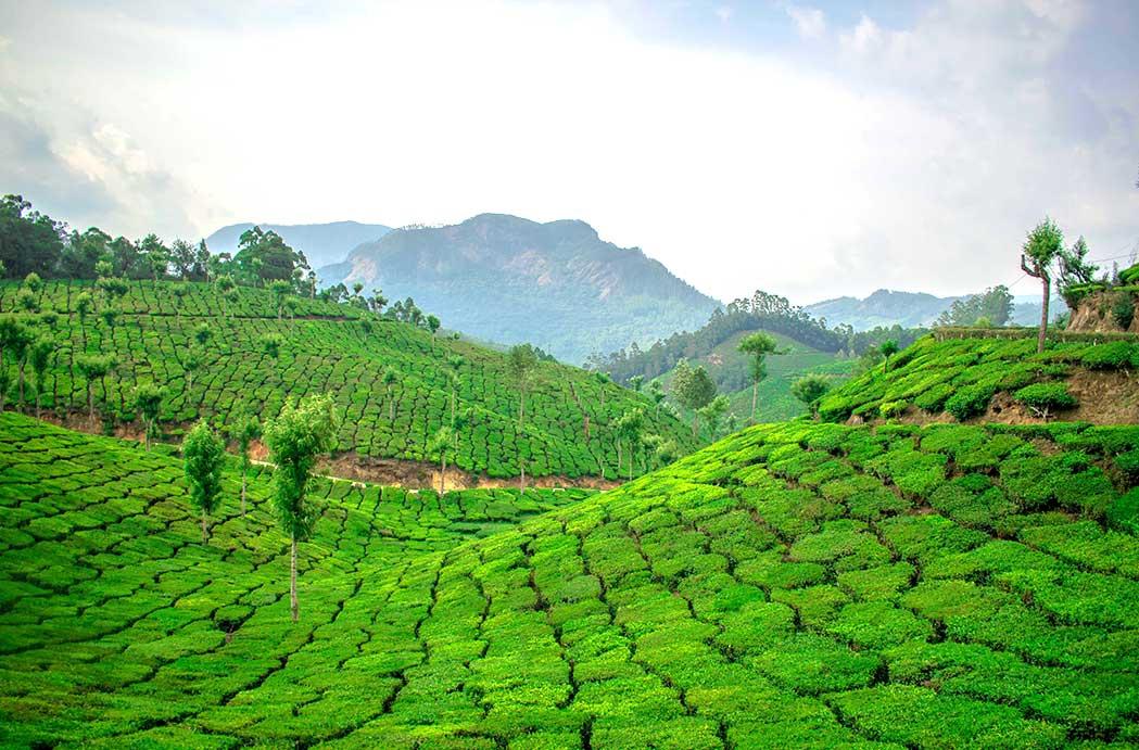 Experience the Serenity of 9 Beautiful Hill Stations in The Western Ghats