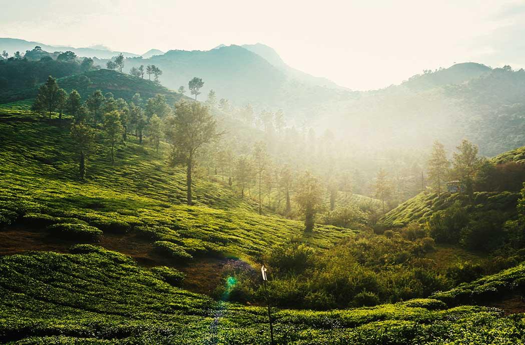 Experience the Serenity of 9 Beautiful Hill Stations in The Western Ghats